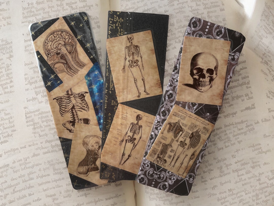 Handmade Academia Lover Anatomy Bookmark, One of a Kind Gift, Great for ...