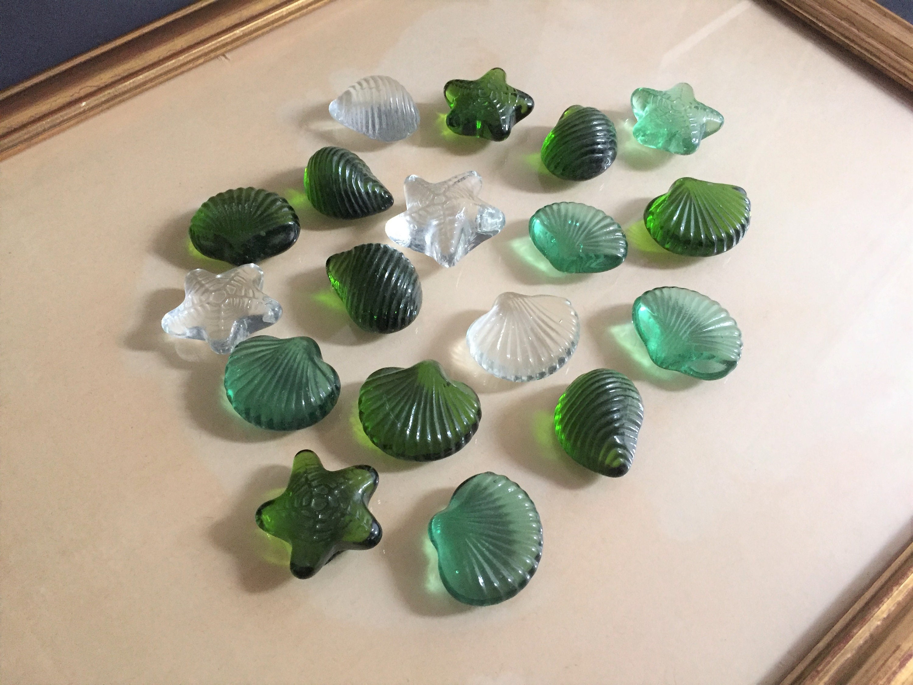 Ornamental Vintage Glass Shells Decorations With Sea Shells Flavor of ...