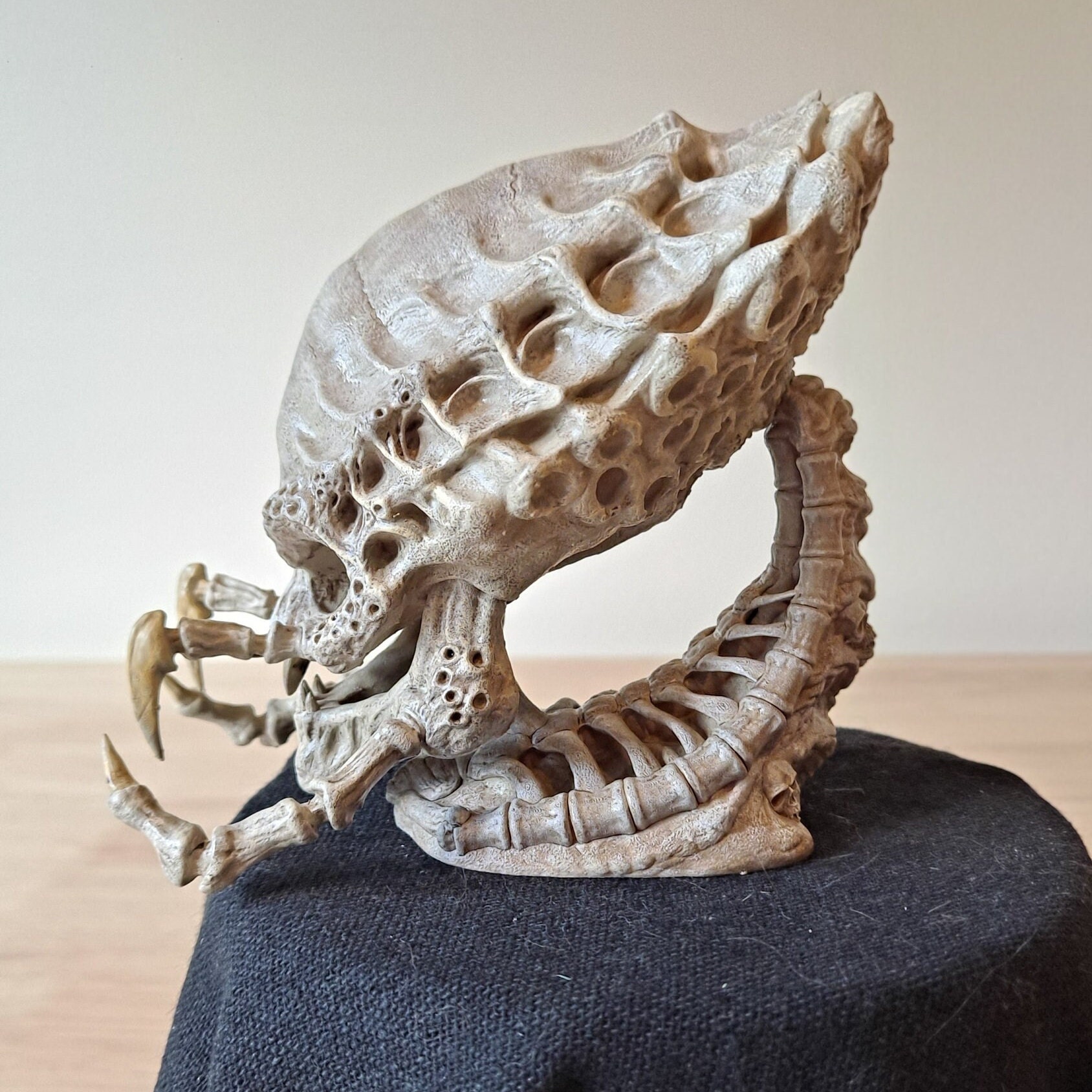 Predator Skull Display With Stand - Etsy