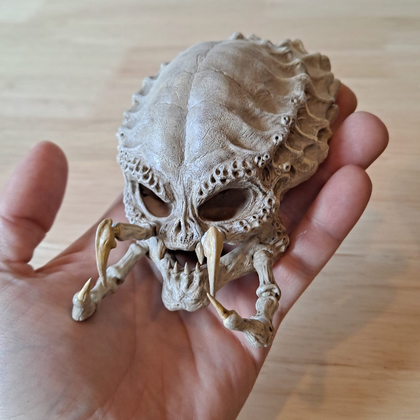 Predator Skull Display With Stand - Etsy