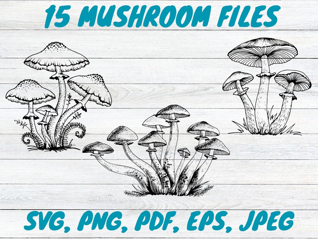Mushroom Svg, Mushroom Svg Bundle, Mushroom Clipart, Fungus Svg, Magic ...
