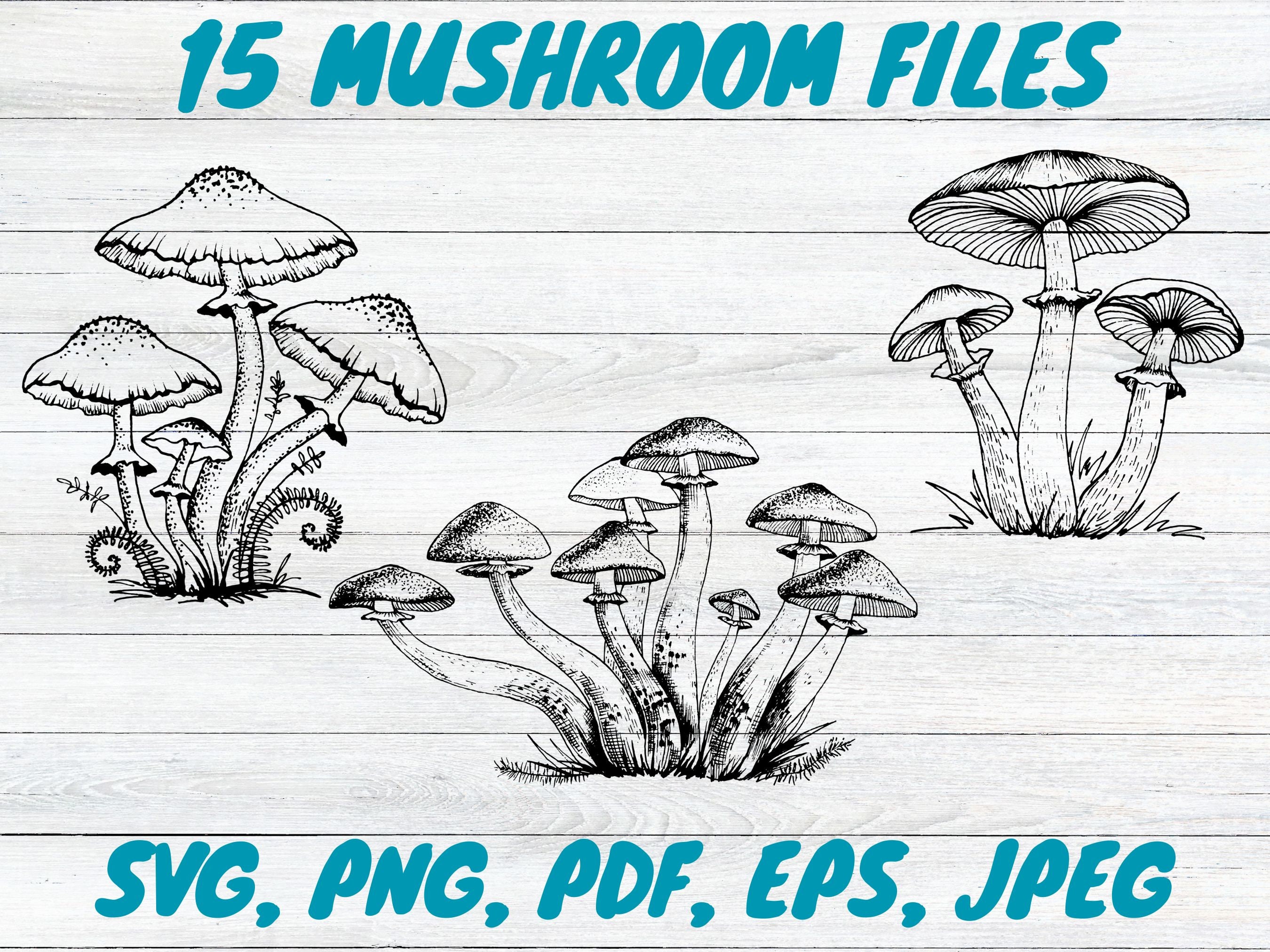 Mushroom Svg, Mushroom Svg Bundle, Mushroom Clipart, Fungus Svg, Magic ...