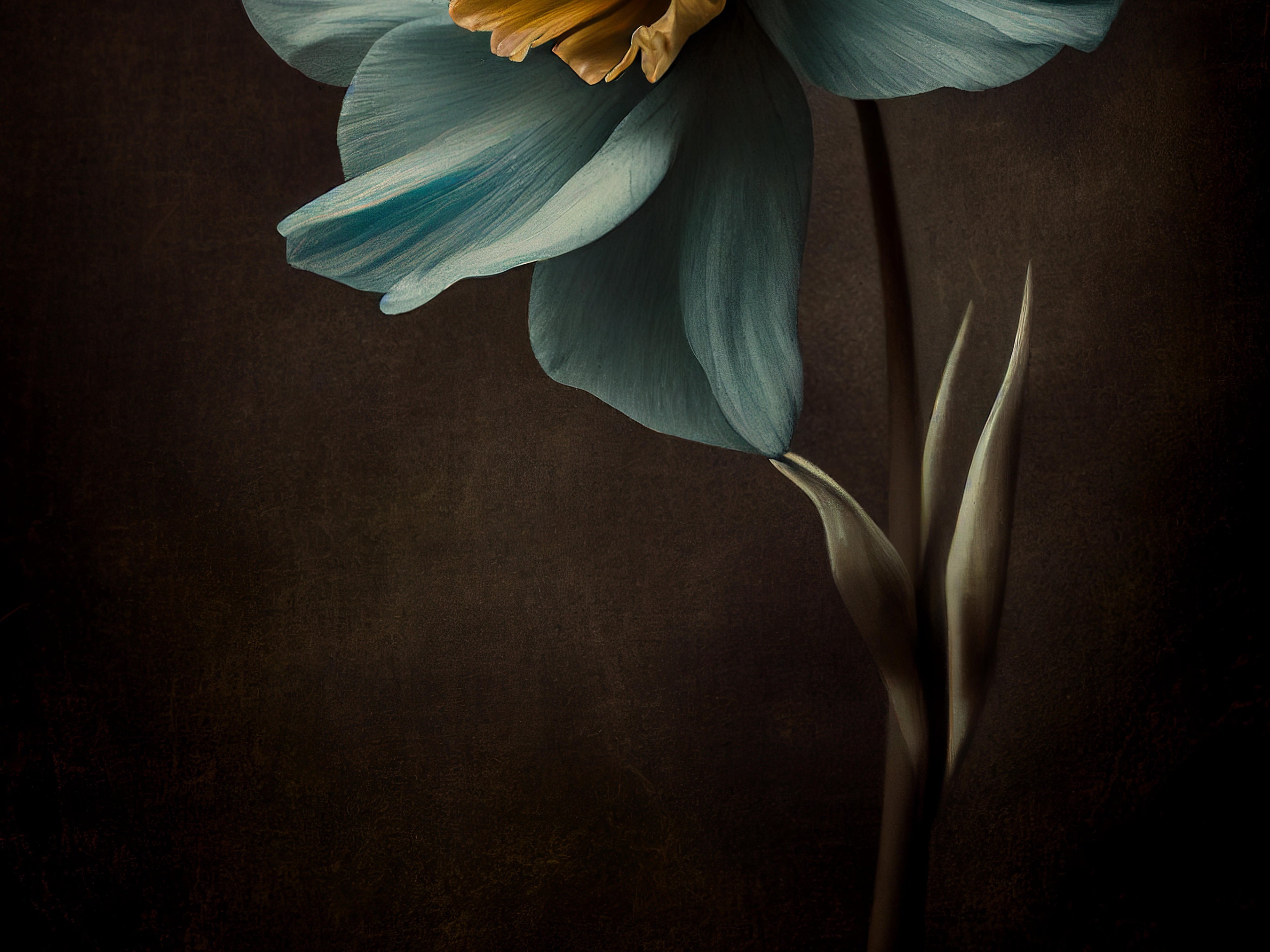 Set of 3 Daffodils Flower Art Print A2/A3/A4/A5/A6 DIGITAL DOWNLOAD ...