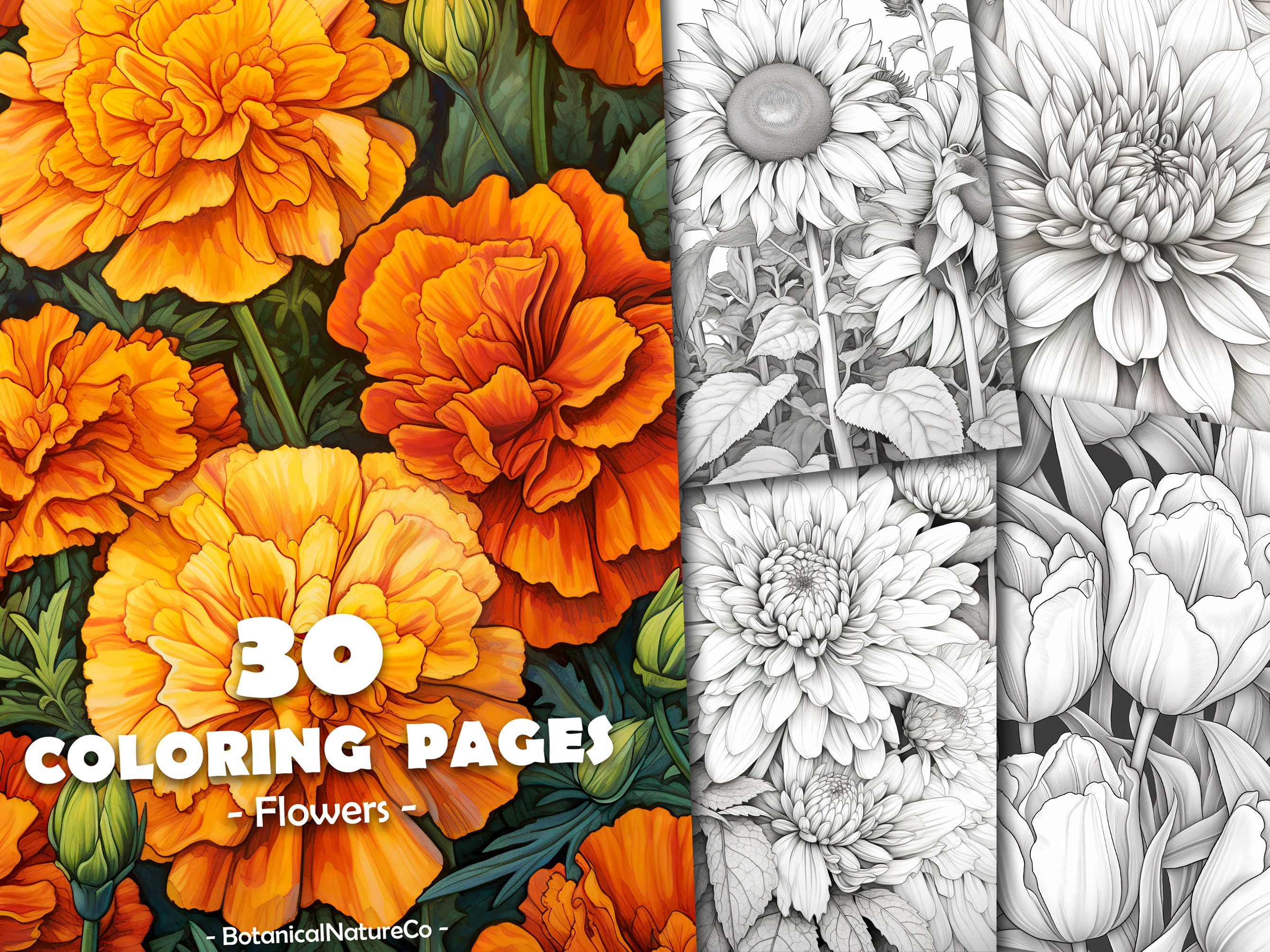 30 Flower Colouring Pages - Instant Download - Grayscale PDF Colouring ...