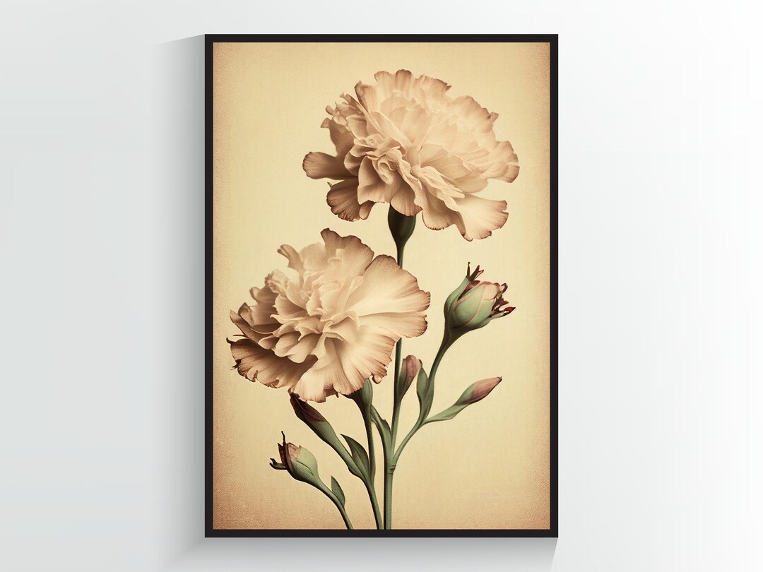 Carnation Vintage Poster - Flower Art Print - A2/A3/A4/A5/A6 DIGITAL ...