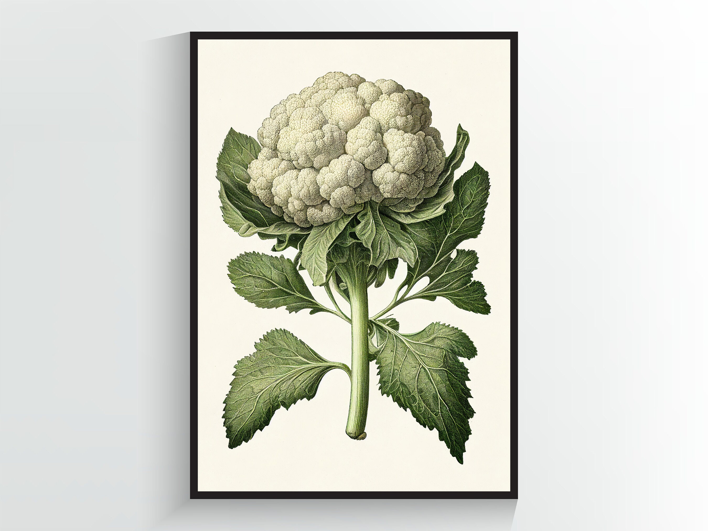 Cauliflower Vintage Poster - Vegetable Art Print - A2/A3/A4/A5/A6 ...