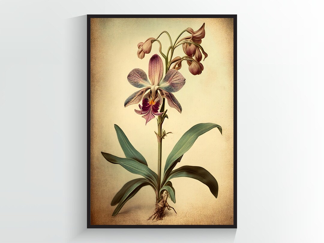 Orchid Vintage Poster - Flower Art Print - A2/A3/A4/A5/A6 DIGITAL ...