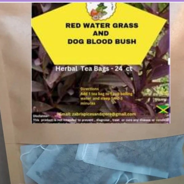 Jamaica Dog Blood Bush - Etsy
