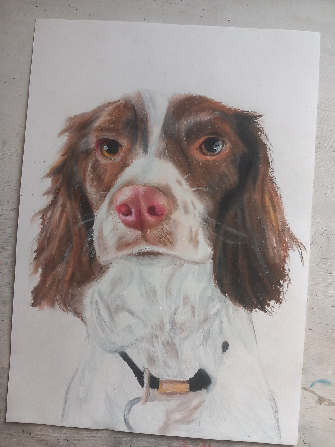 Custom Hand-drawn Dog Portraits - Etsy