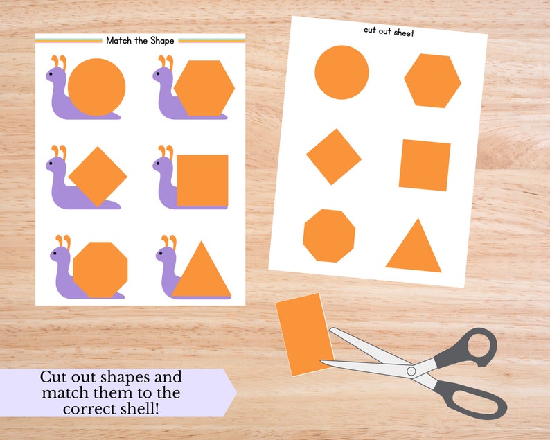 Shape Matching Activity, Snail Shell, Digital Download - Etsy