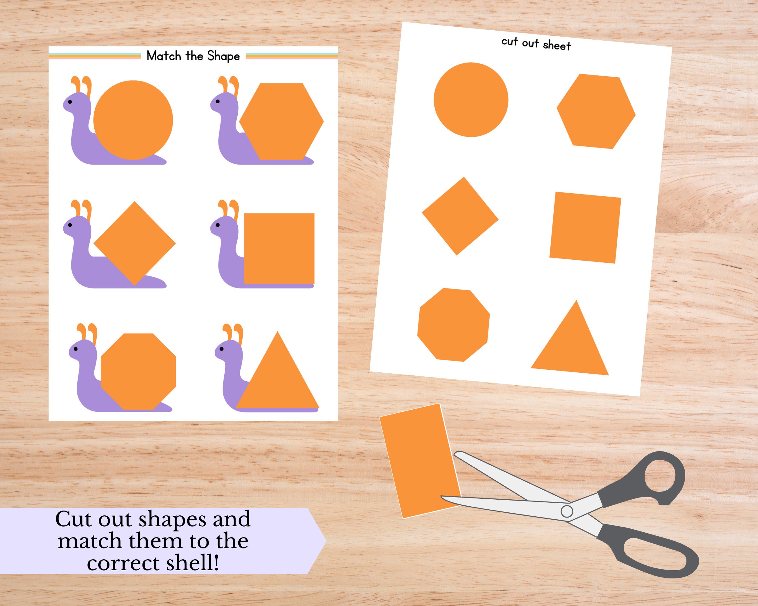 Shape Matching Activity, Snail Shell, Digital Download - Etsy