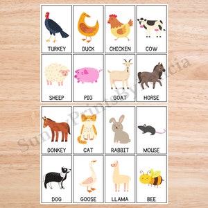 Farm Animal Flashcards, Digital Download - Etsy
