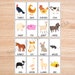 Farm Animal Flashcards, Digital Download - Etsy