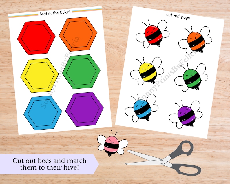 Color Matching Activity, Match the Bee to Its Hive, Digital Download - Etsy