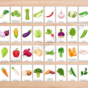 Illustrated Vegetable Flashcards, Digital Download - Etsy