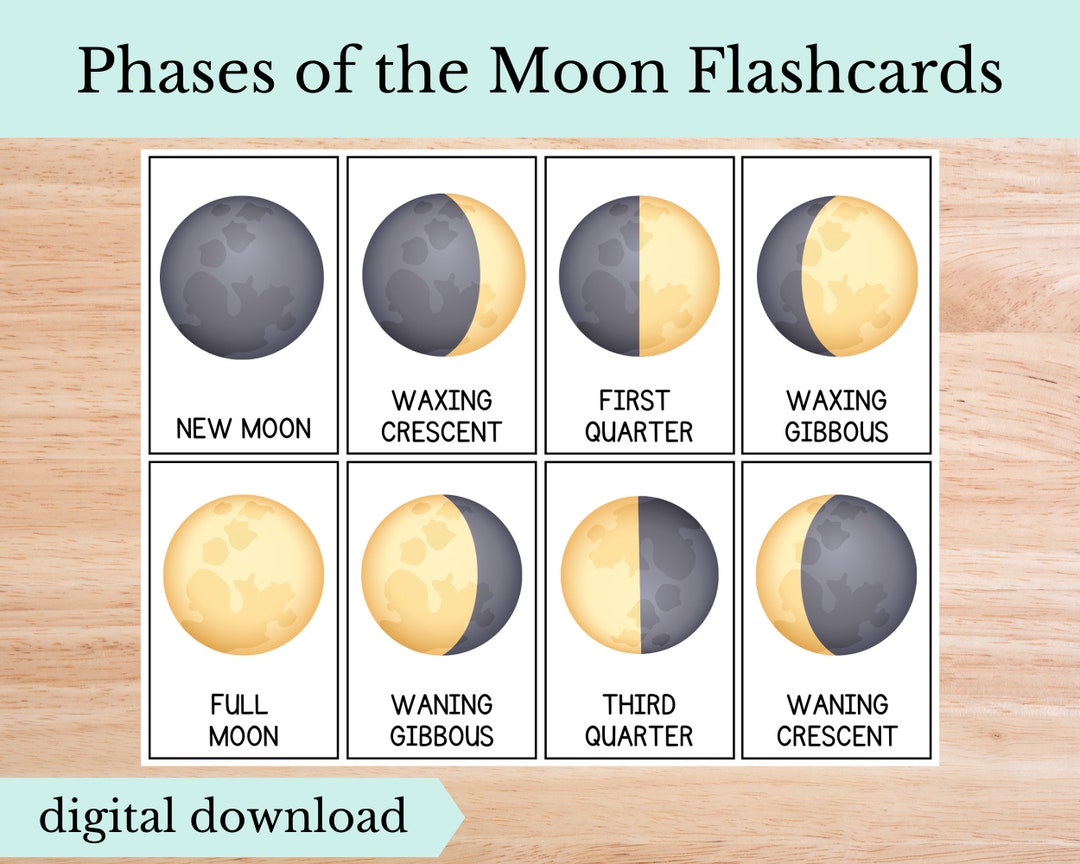Phases of the Moon Flashcards, Digital Download - Etsy