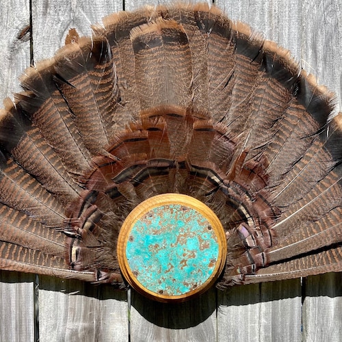 Custom Turkey Plaque Tail Mount Personalized Unique Fan - Etsy