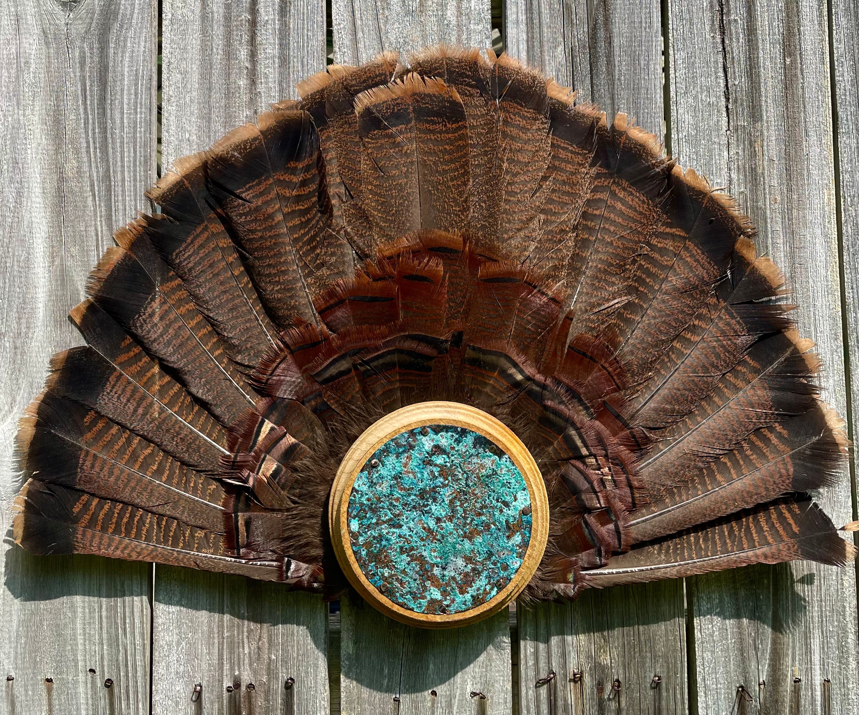 Turkey Tail Mounting Kits