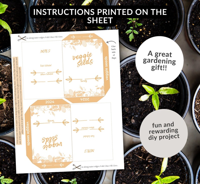 Printable Vegetable Seed Envelopes DIY Seed Packets Seed Storage Seed ...