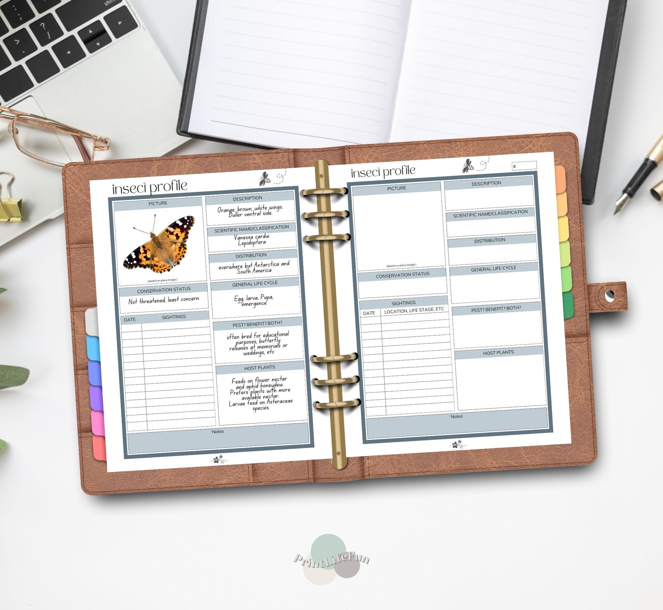 Insect Profile Printable: Entomology Studies, Science Biology (PDF ...