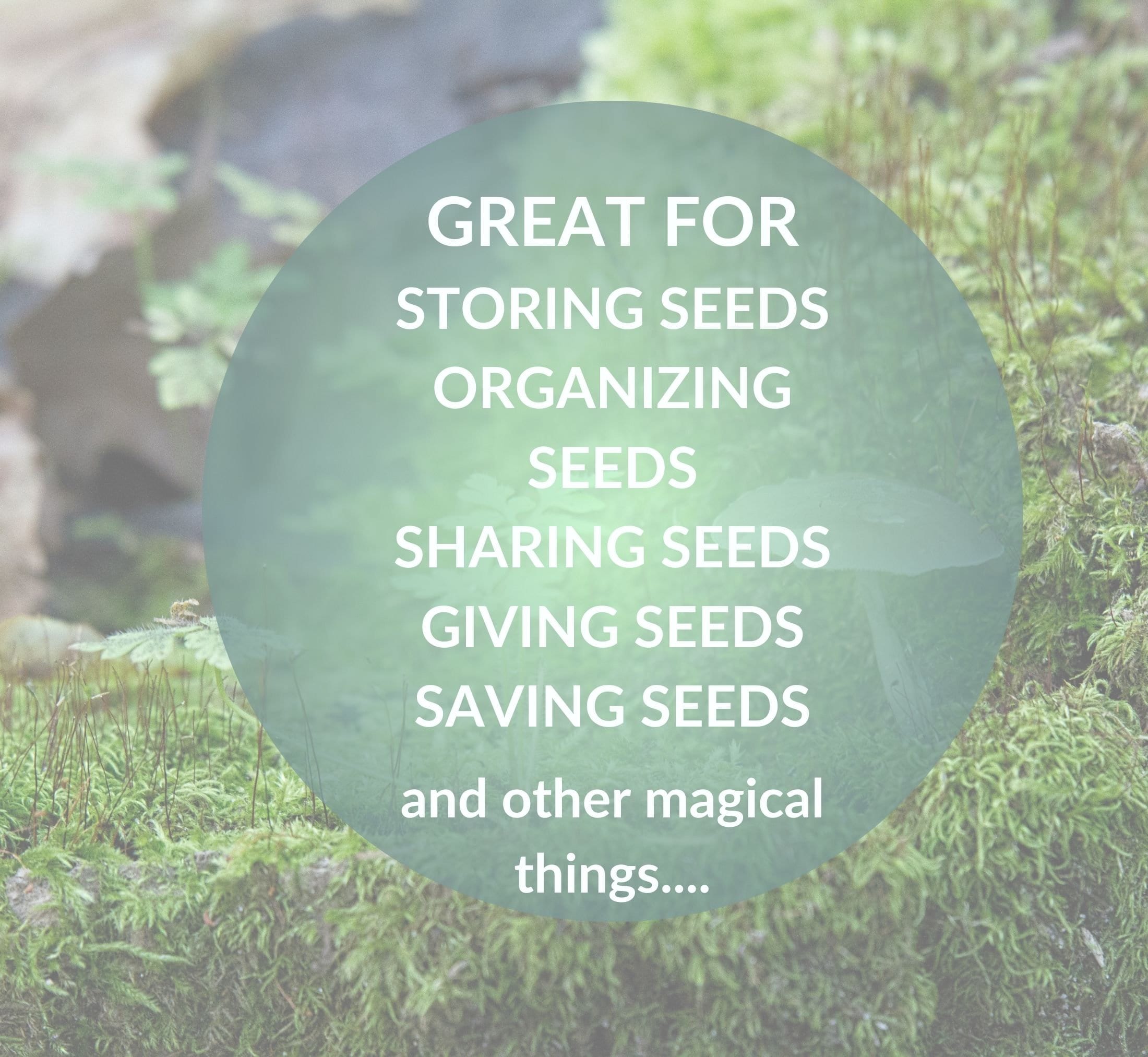 Fairy Seed Packet Printable PDF Instant Download, DIY Seed Saving ...