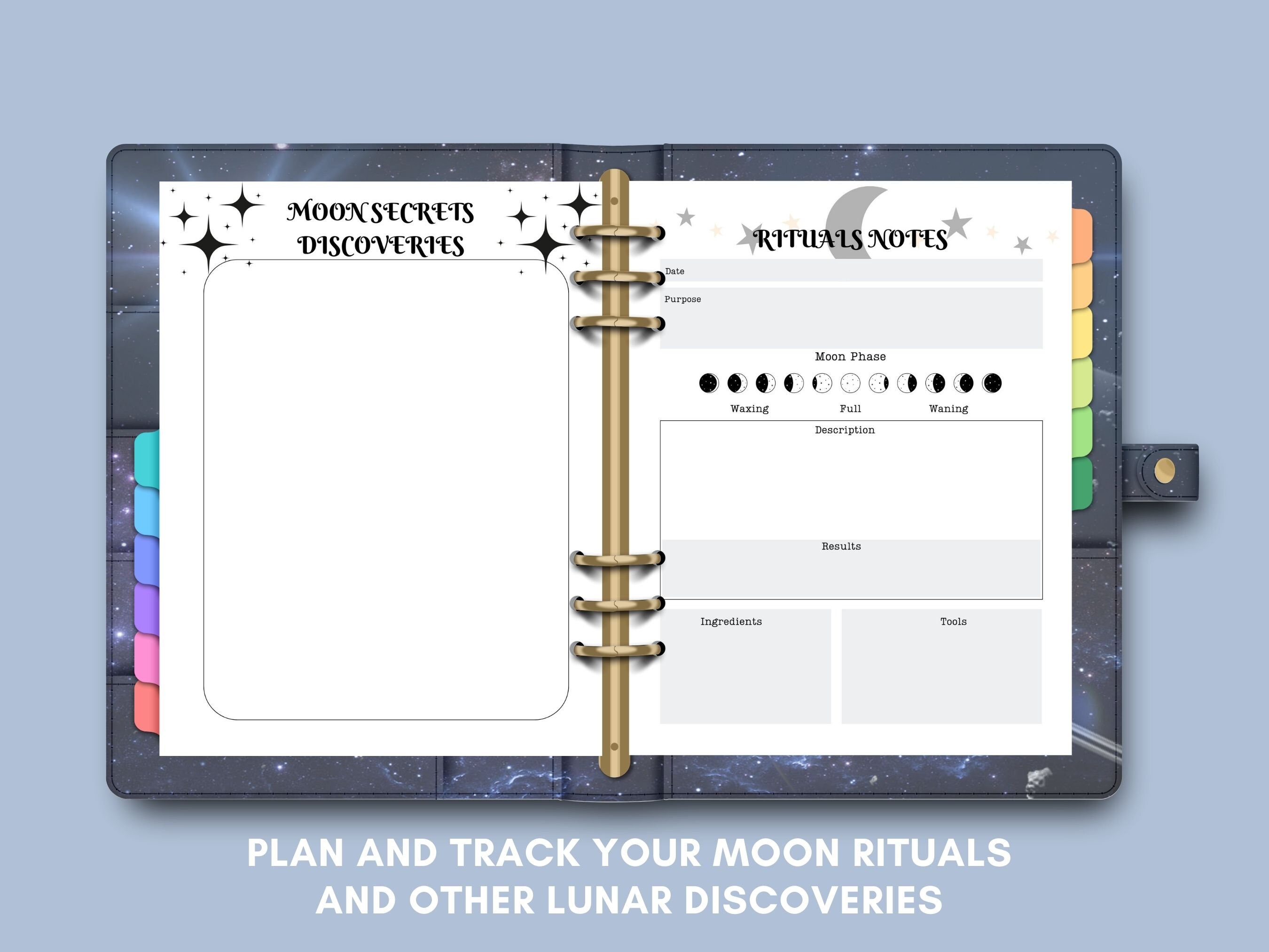 Printable 2024 Moon and Astrology Planner Full Moon New Moon - Etsy