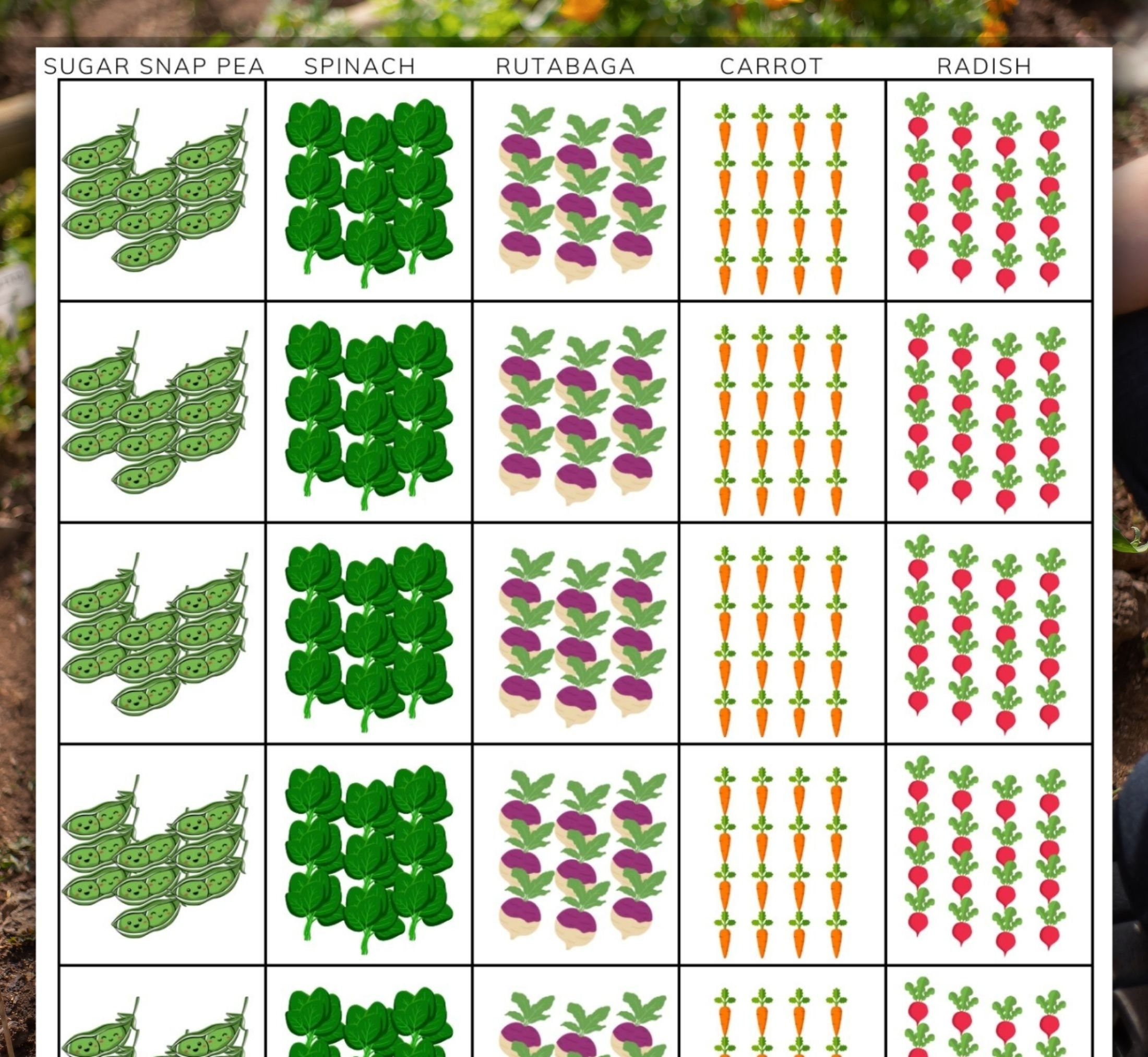 Square Foot Garden Planner: Printable Vegetable Garden Grid (PDF ...
