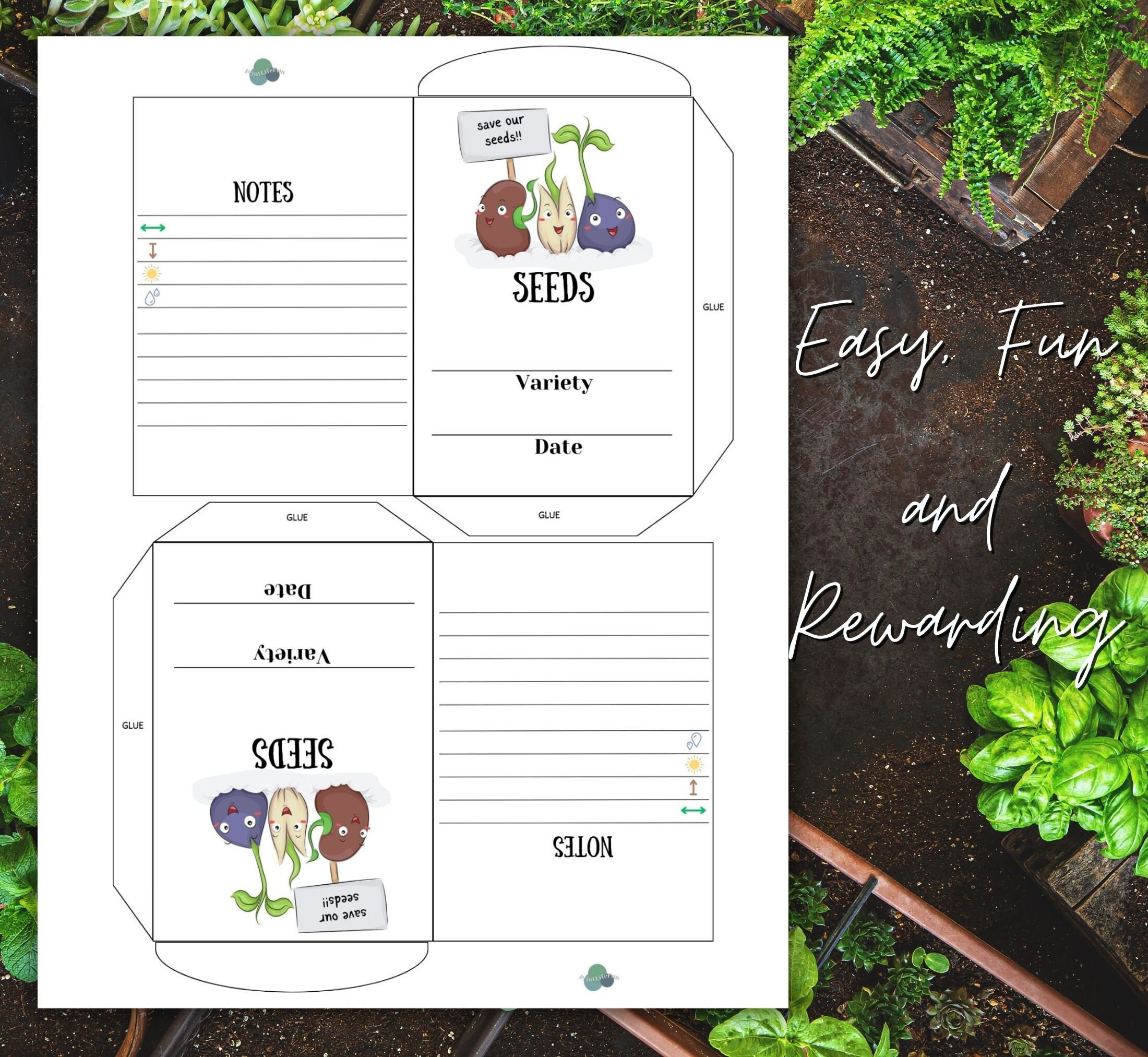 Printable Seed Envelopes DIY Seed Packets Seed Storage Seed Saving ...