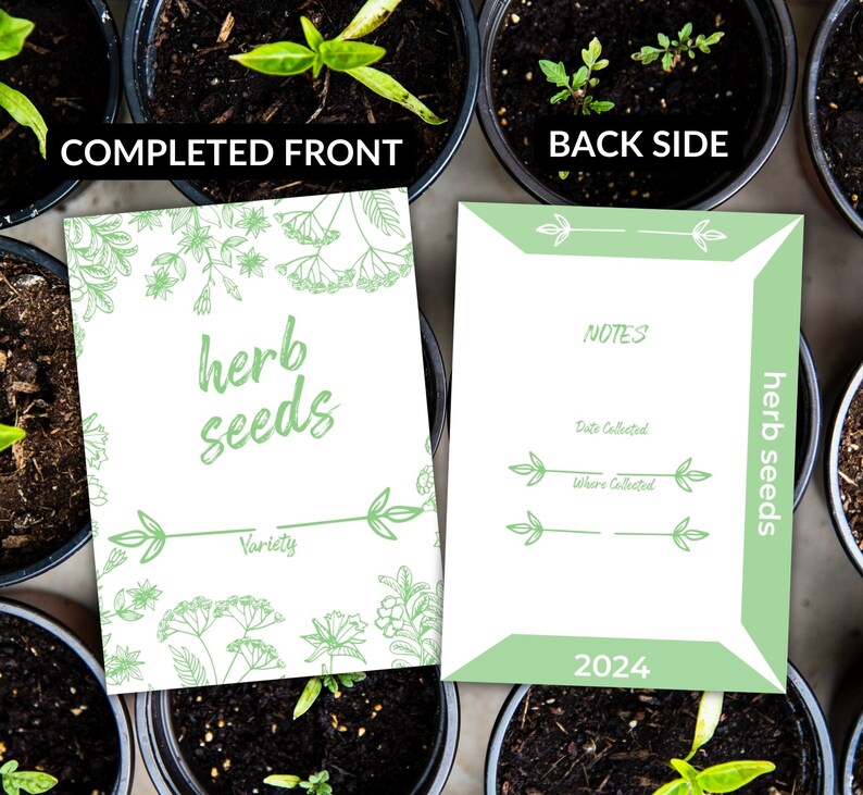 Printable Herb Seed Envelopes: DIY Seed Packets (PDF Download) - Etsy