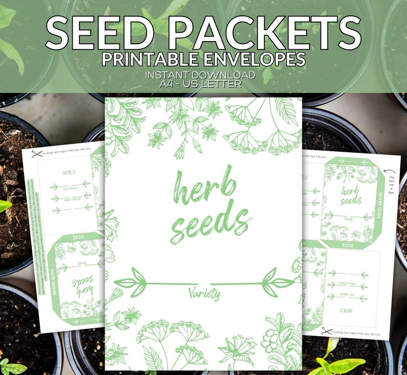 Printable Herb Seed Envelopes: DIY Seed Packets (PDF Download) - Etsy