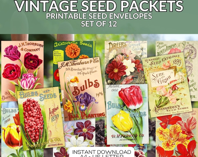 Printable Marigold Seed Envelope, Instant Download, Seed Envelope ...
