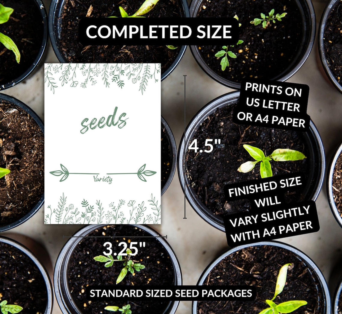 Printable Seed Envelopes DIY Seed Packets Seed Storage Seed Saving ...