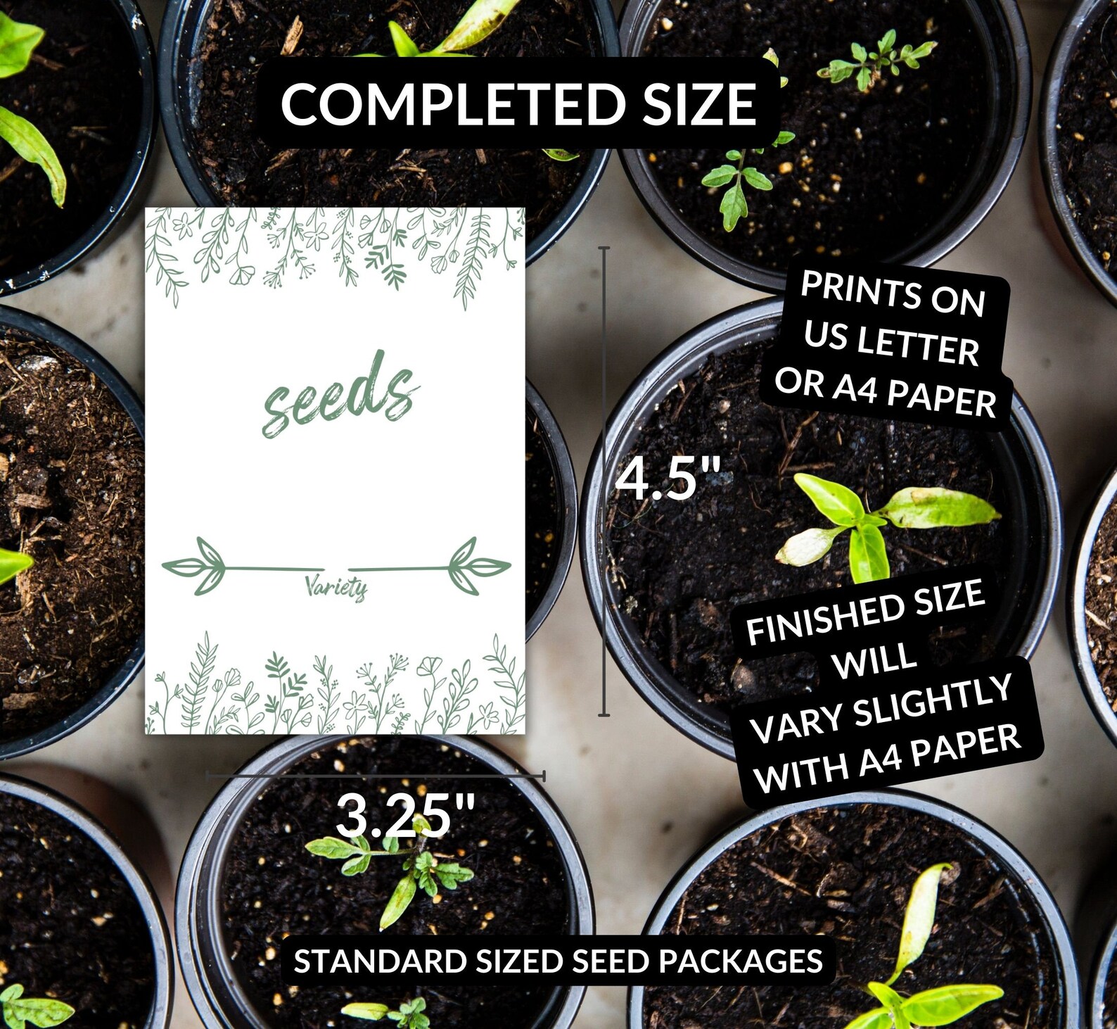 Printable Seed Envelopes DIY Seed Packets Seed Storage Seed Saving ...