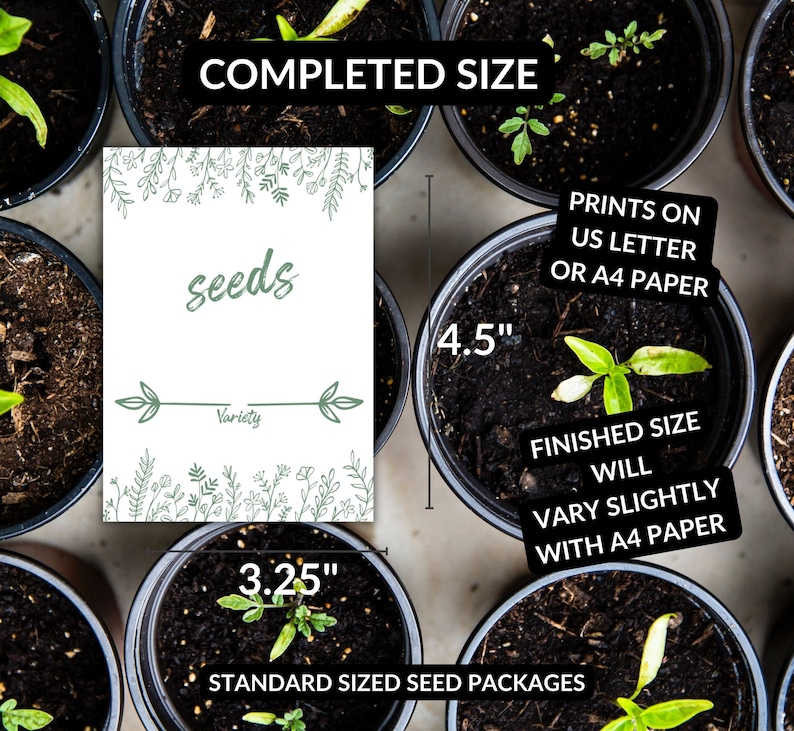 Printable Seed Envelopes DIY Seed Packets Seed Storage Seed Saving ...