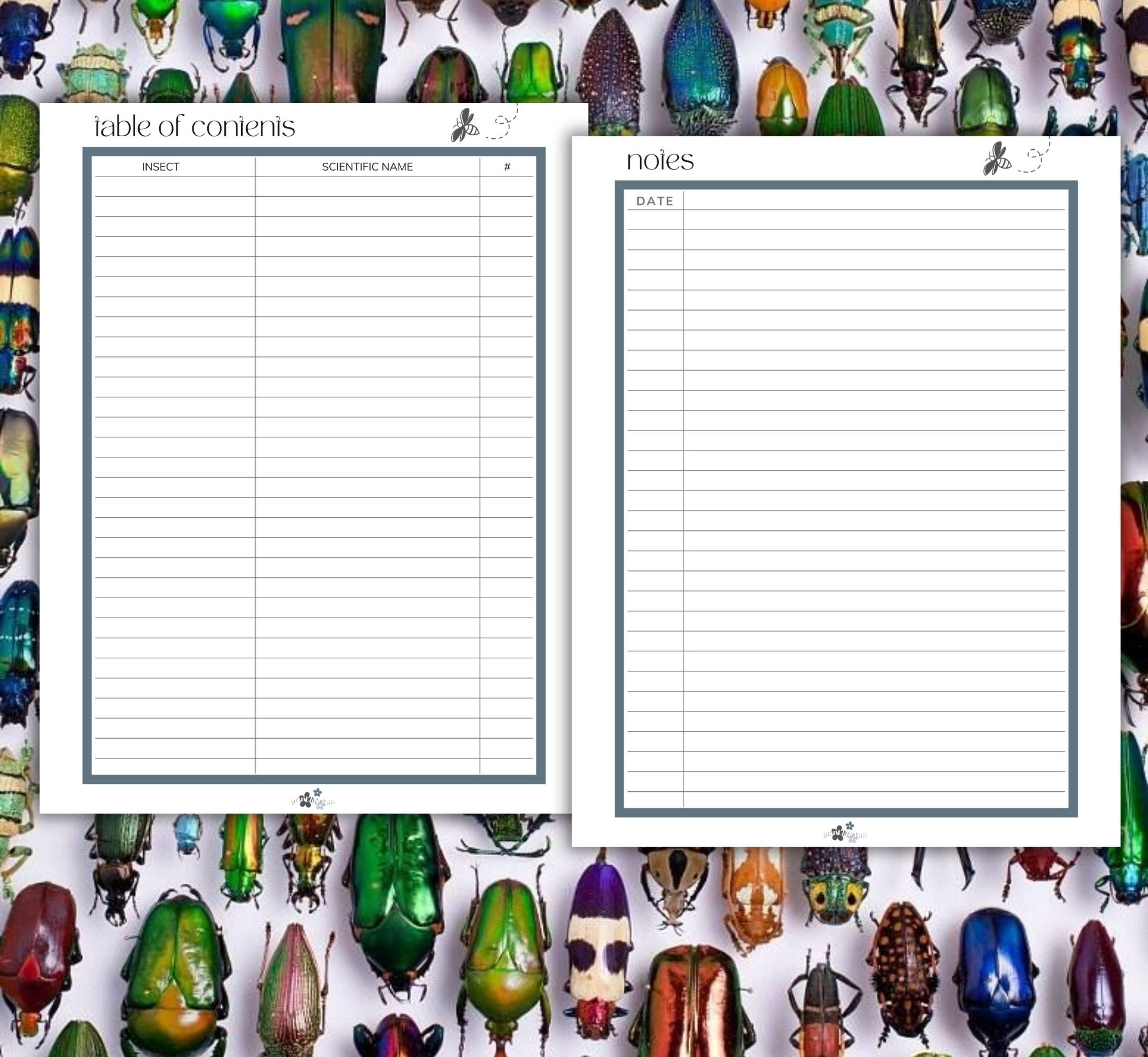 Insect Profile Printable: Entomology Studies, Science Biology (PDF ...