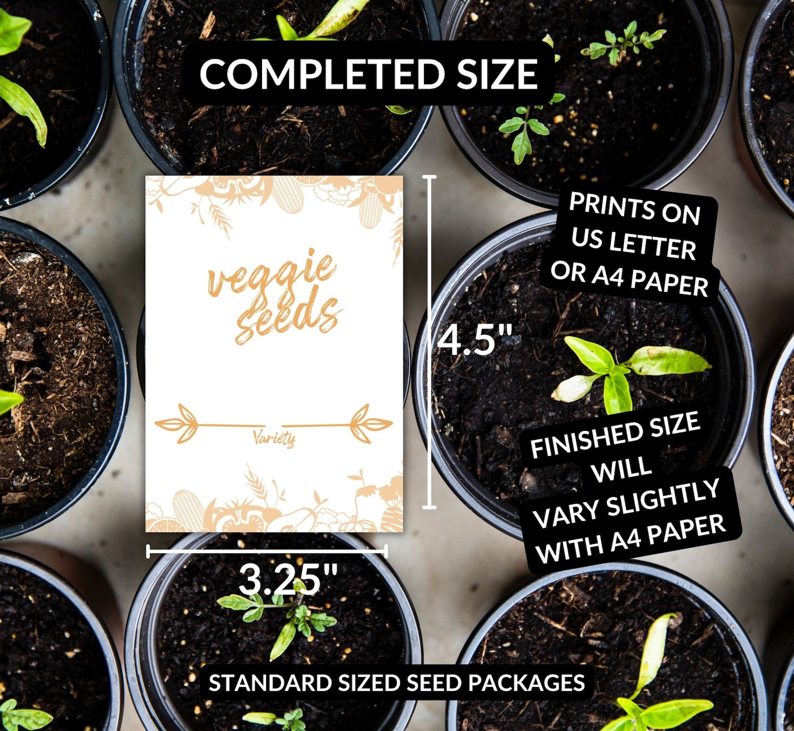 Printable Vegetable Seed Envelopes DIY Seed Packets Seed Storage Seed ...