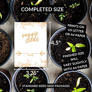 Printable Vegetable Seed Envelopes DIY Seed Packets Seed Storage Seed ...