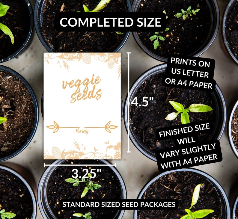 Printable Vegetable Seed Envelopes DIY Seed Packets Seed Storage Seed ...