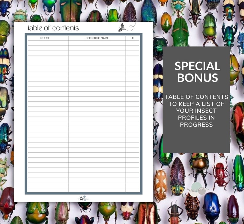 Insect Profile Printable PDF Instant Download - Entomology Studies ...