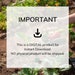 Square Foot Garden Planner: Printable Vegetable Garden Grid (PDF ...