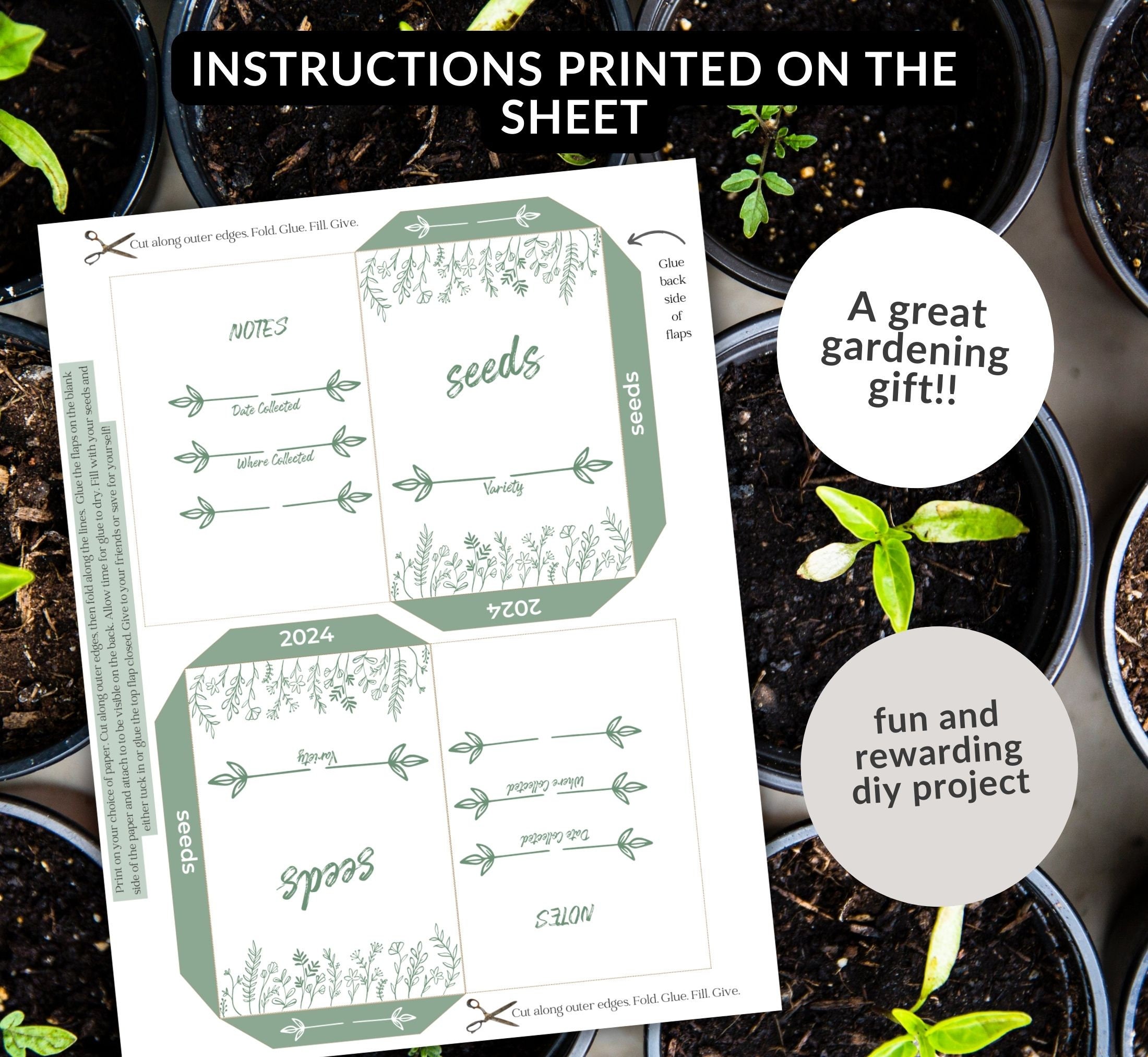 DIY Printable Seed Envelopes, Flower Seed Storage (PDF Download) - Etsy