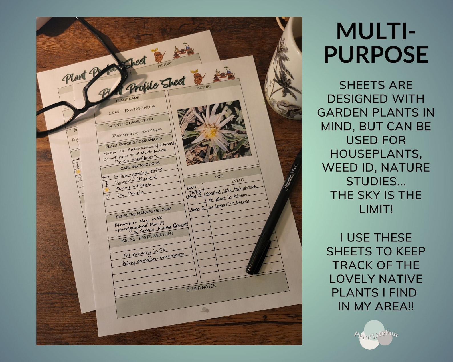 Printable Garden Plant Profile Sheet: Plant Information Planner (PDF ...