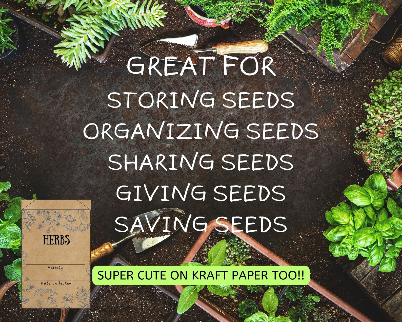 Printable Seed Envelopes DIY Seed Packets Seed Storage Seed - Etsy