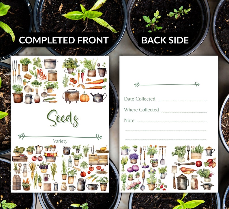 DIY Seed Packet Printable Envelopes: Watercolor Flower, Herb, Vegetable ...