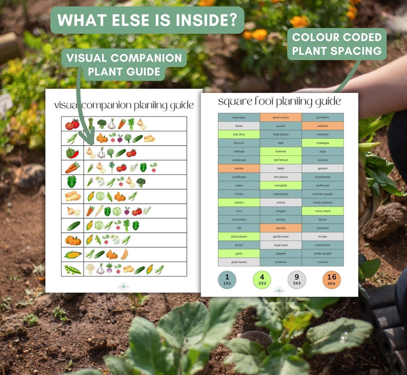 Square Foot Garden Planner: Visual Vegetable Planting Guide (PDF ...