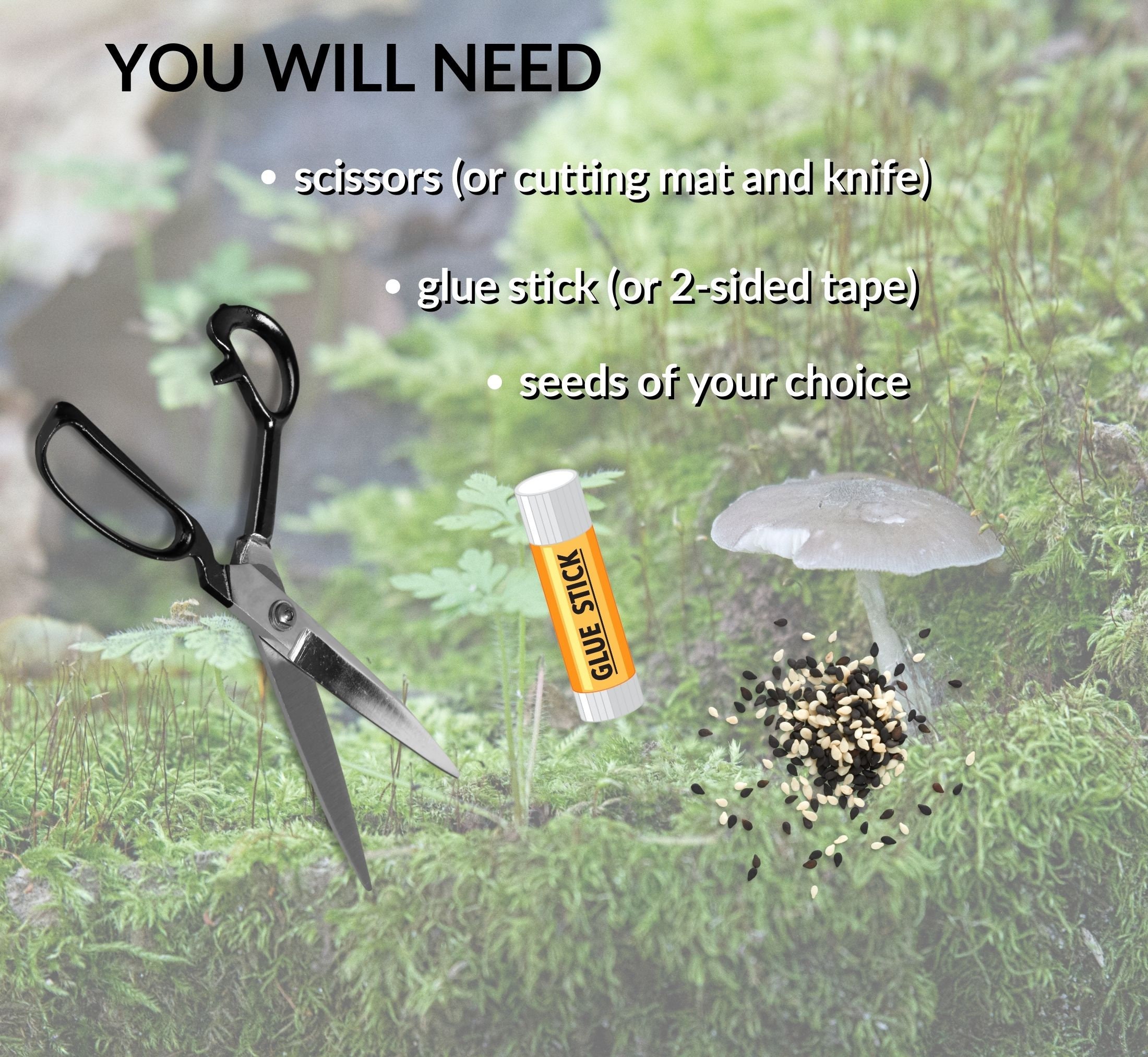 Fairy Seed Packet Printable PDF Instant Download, DIY Seed Saving ...