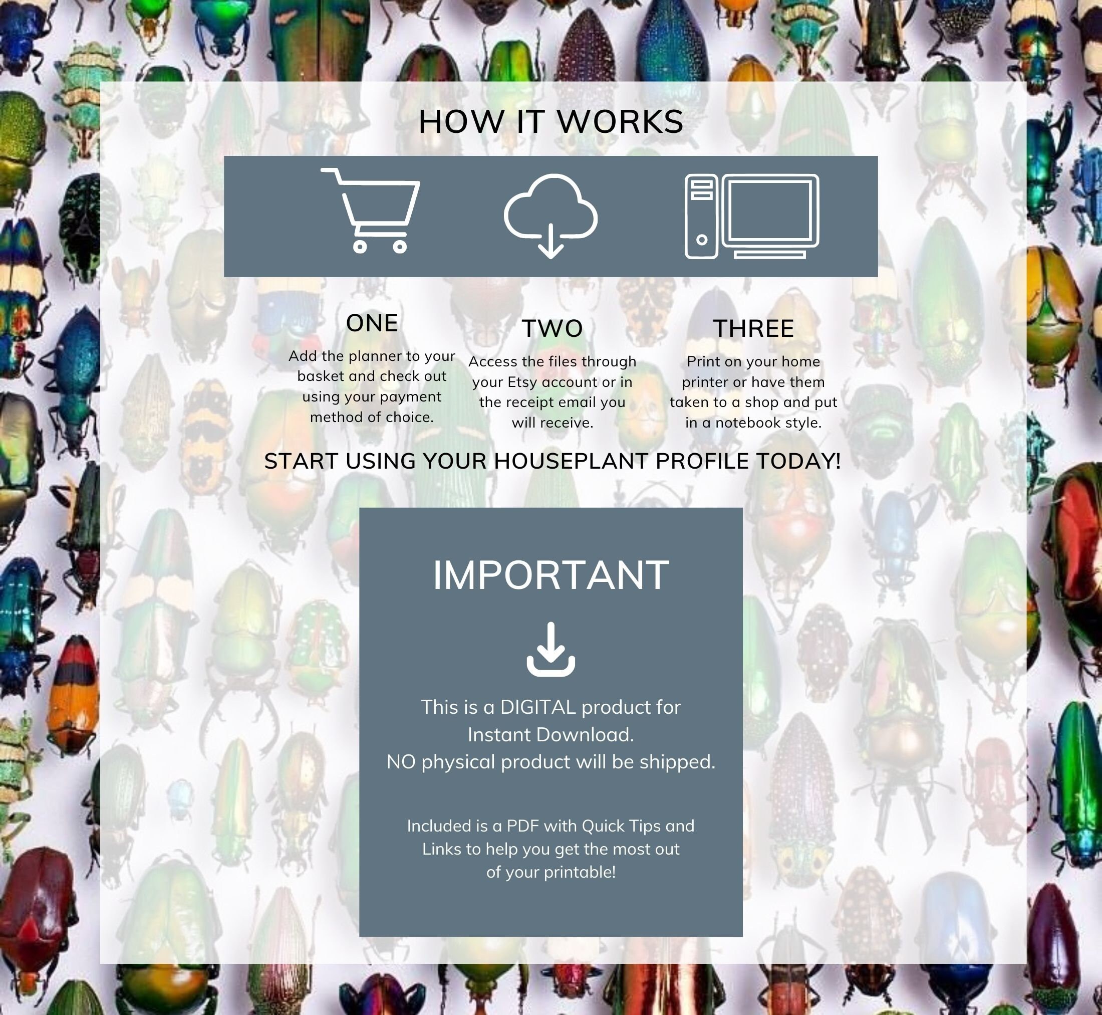 Insect Profile Printable: Entomology Studies, Science Biology (PDF ...