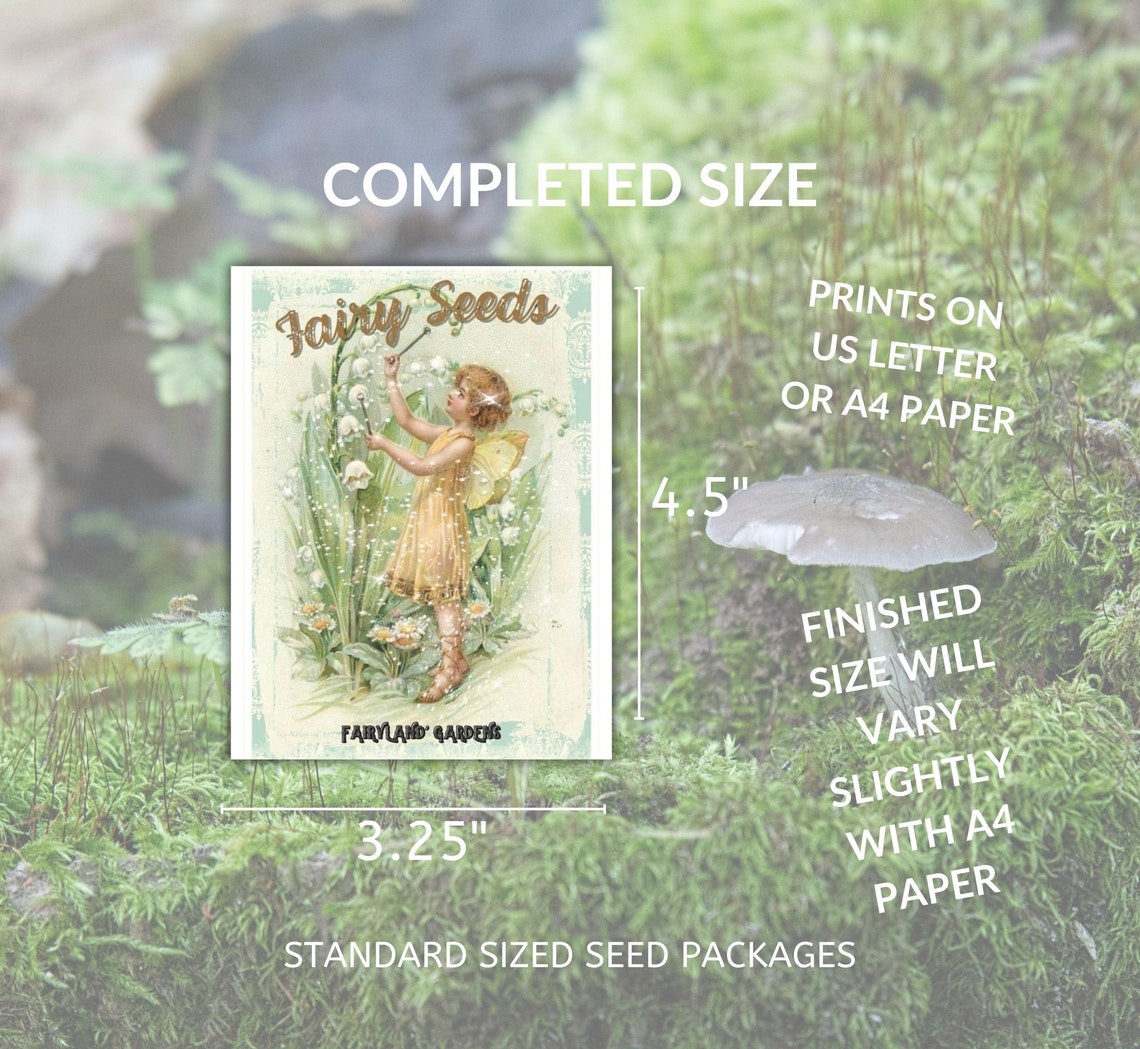 Fairy Seed Packet Printable: Vintage Illustration DIY Envelopes (PDF ...
