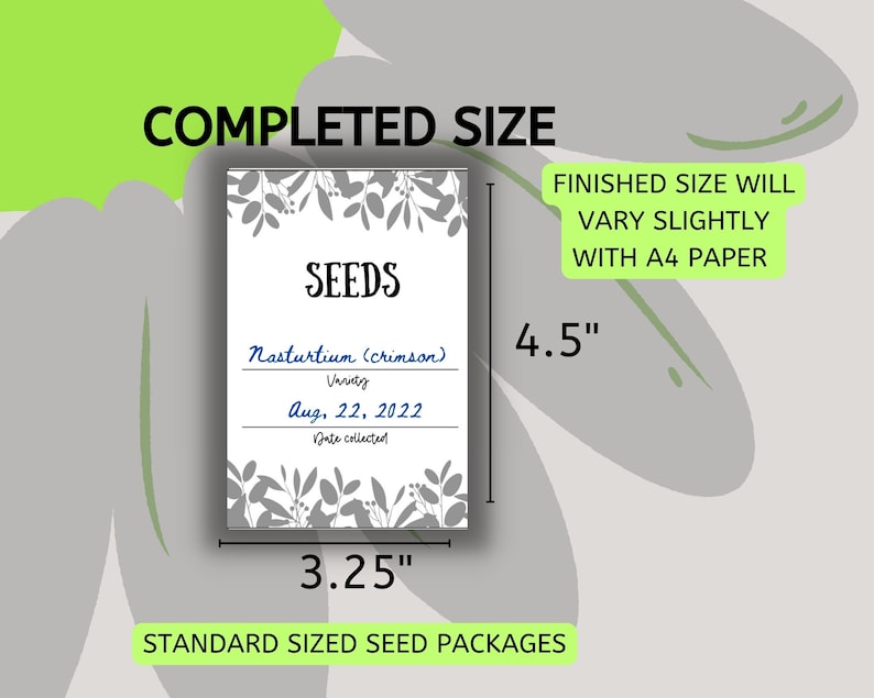 Printable Seed Envelopes DIY Seed Packets Seed Storage Seed Saving ...