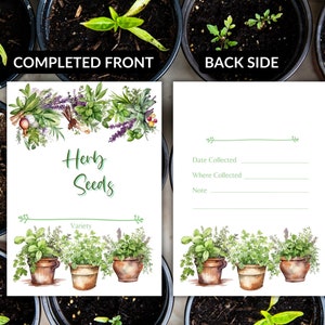 DIY Watercolour Herb Seed Packet Printable PDF, Instant Download, A4 US ...